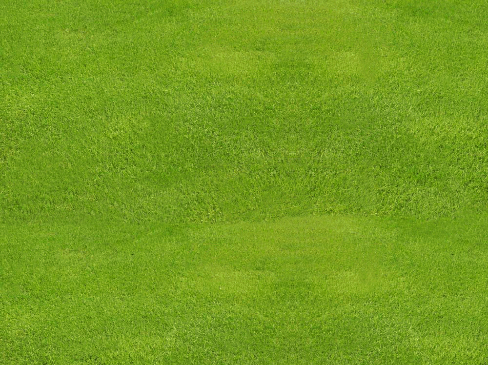 grass_bg | Intouch Piano Studio By Kru Tao